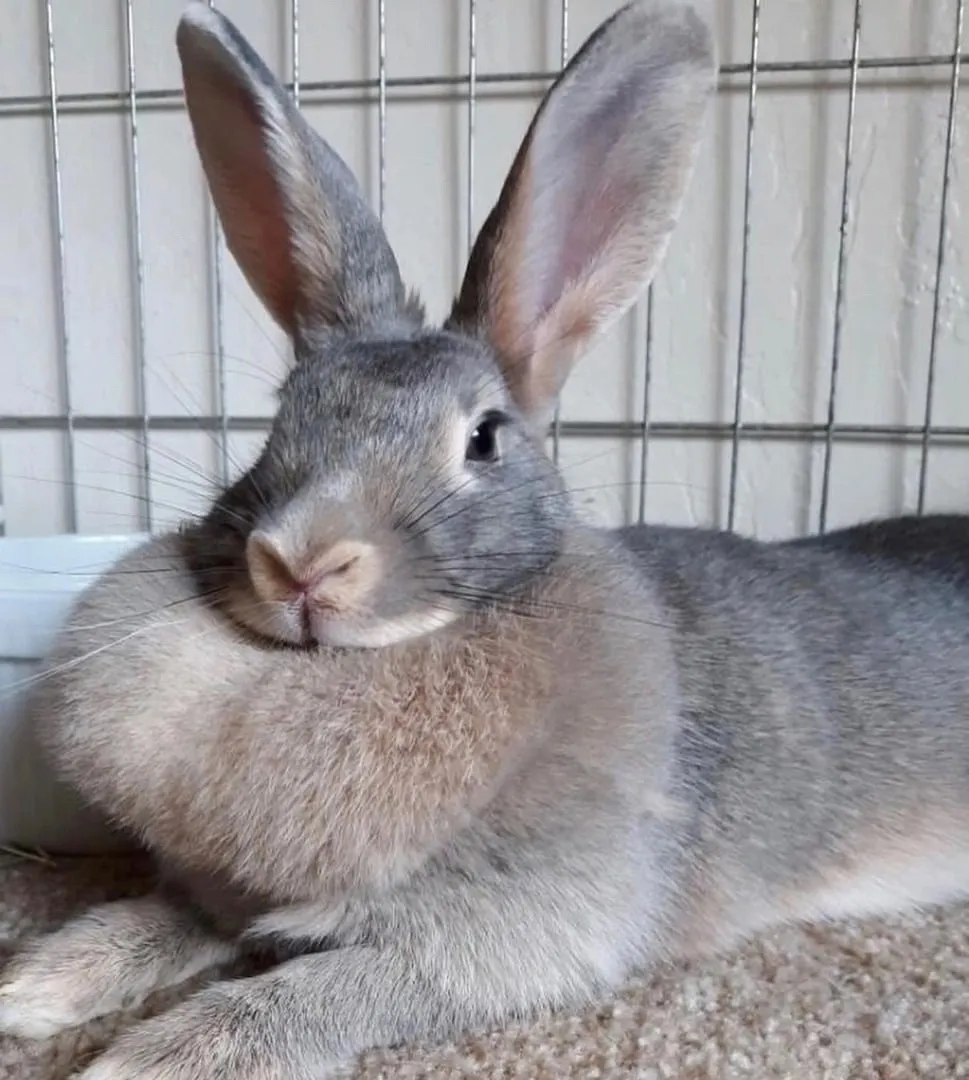 Ищем редакторов на сайт. - Roblox-Scripter